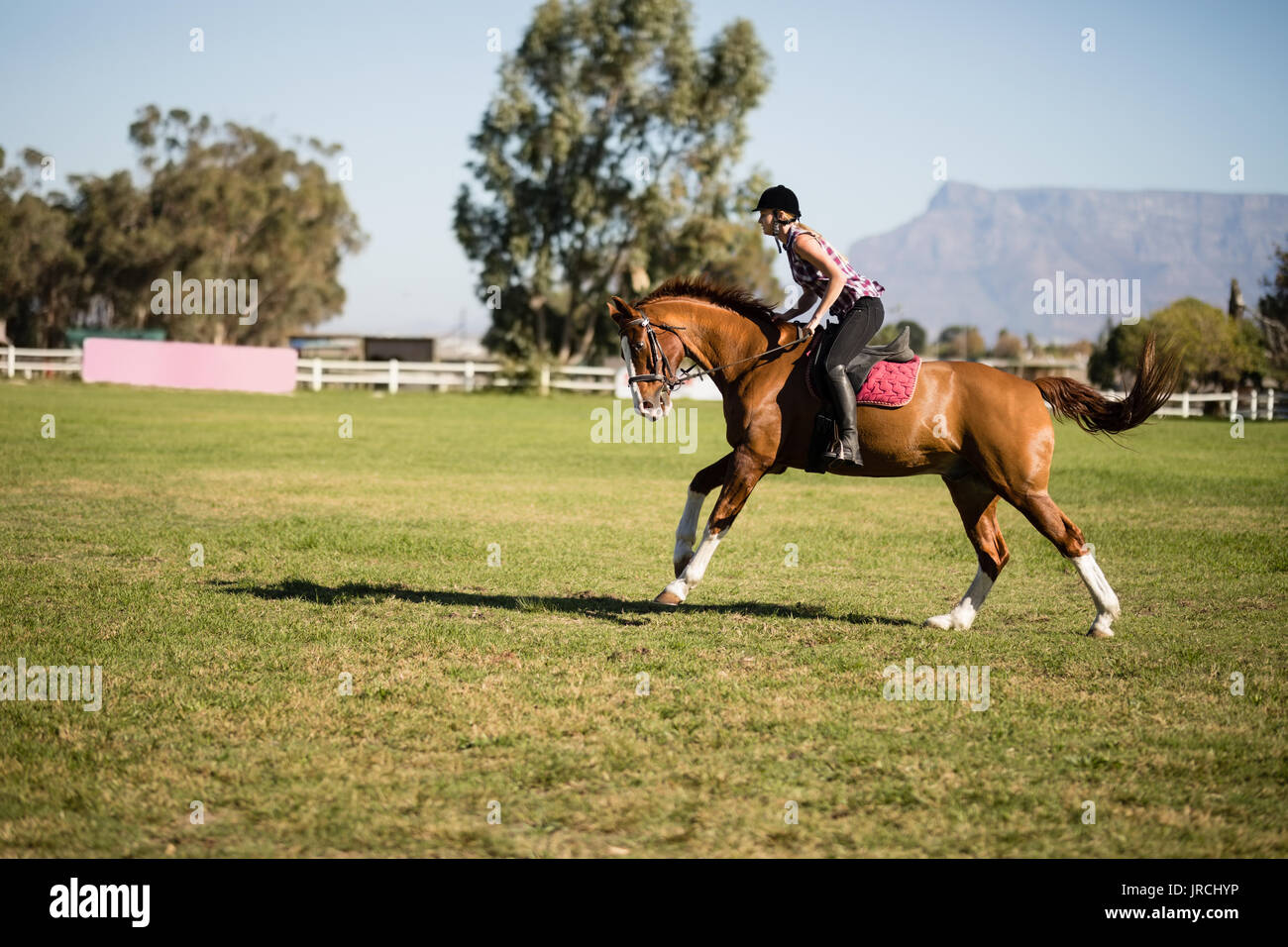 Female horseback rider sitting on hi-res stock photography and images ...