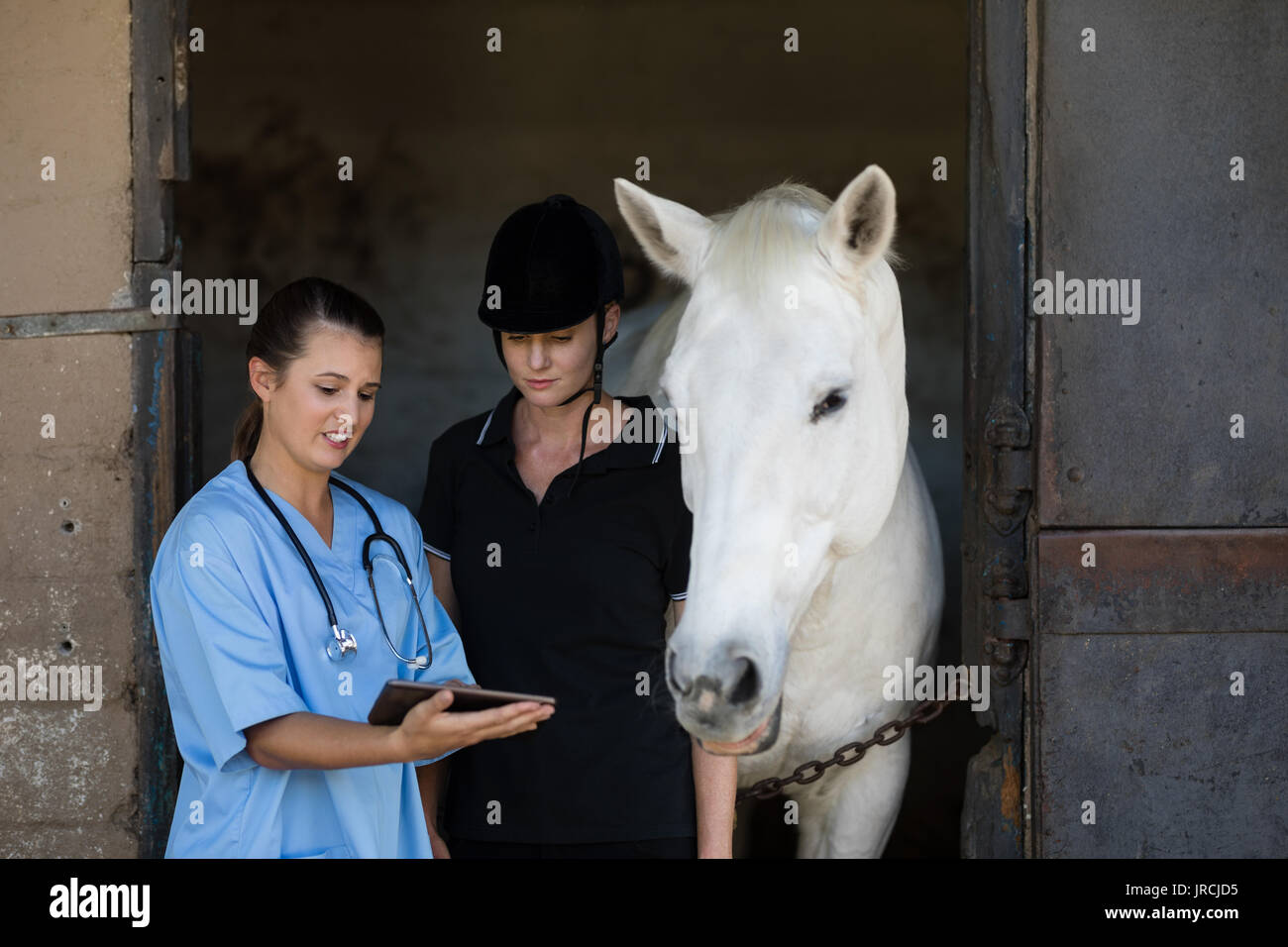 Vet showing digital tablet to jockey while standing by horse at stable ...