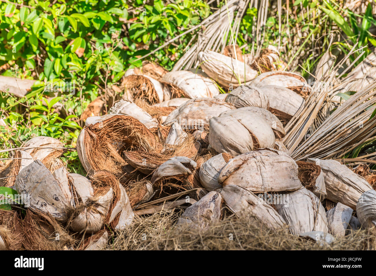 Abstract shot of coconut shells with different brown tones Stock Photo ...