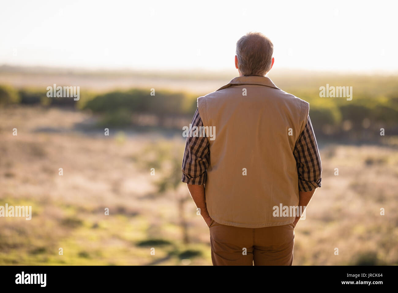 Rear view of man looking at grassland Stock Photo - Alamy