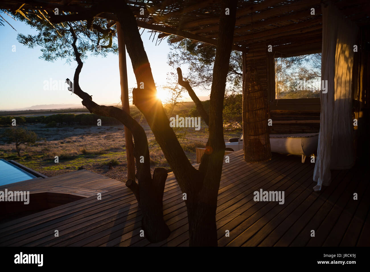 Tree growing through roof hi-res stock photography and images - Alamy