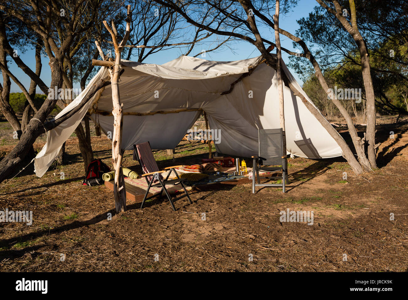 Tent at forest on sunny day Stock Photo - Alamy