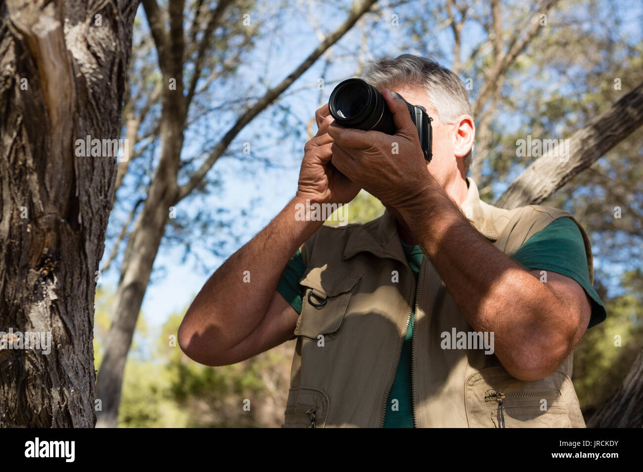 Man standing tree hi-res stock photography and images - Alamy