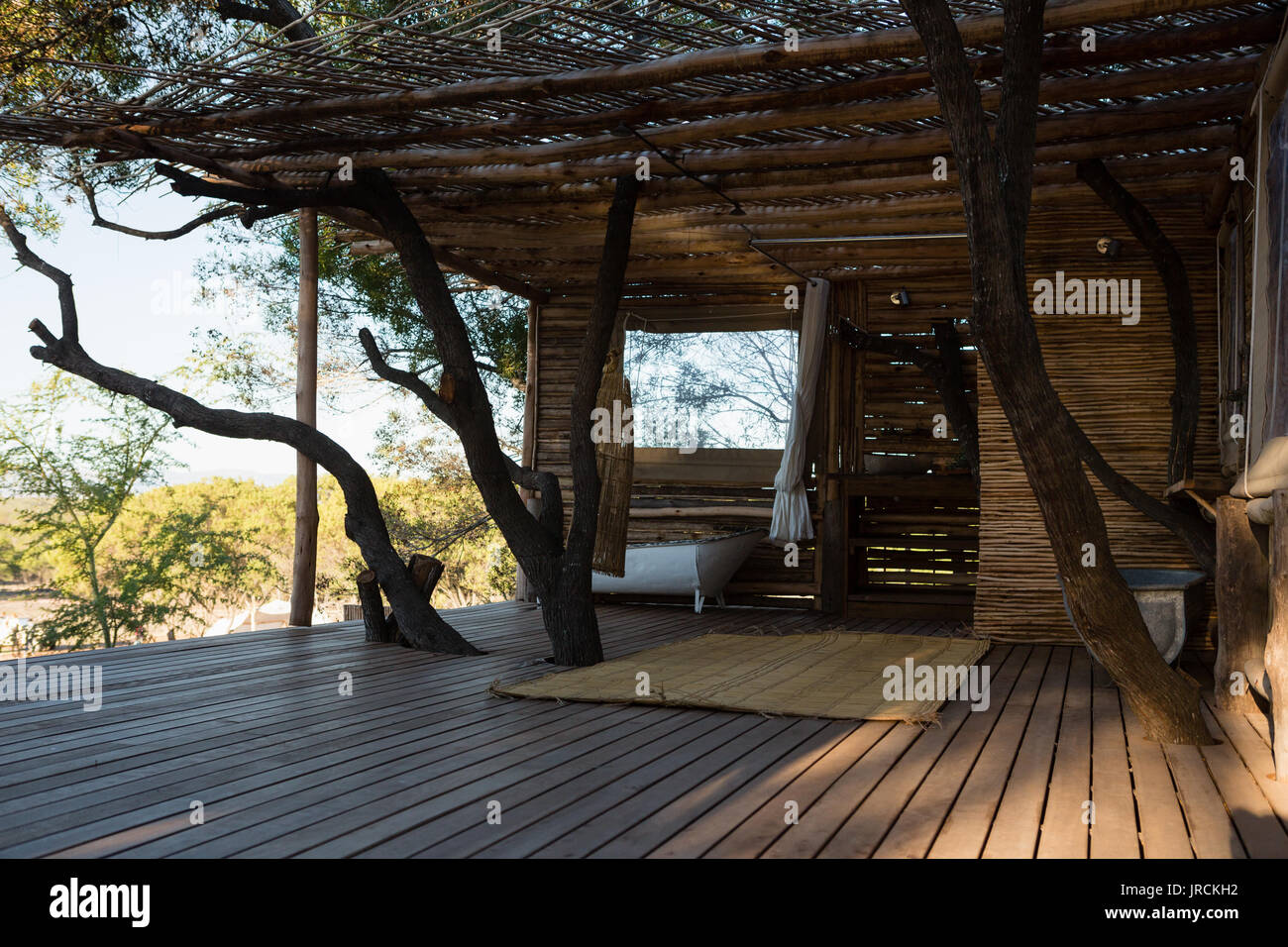 Tree growing through roof hi-res stock photography and images - Alamy