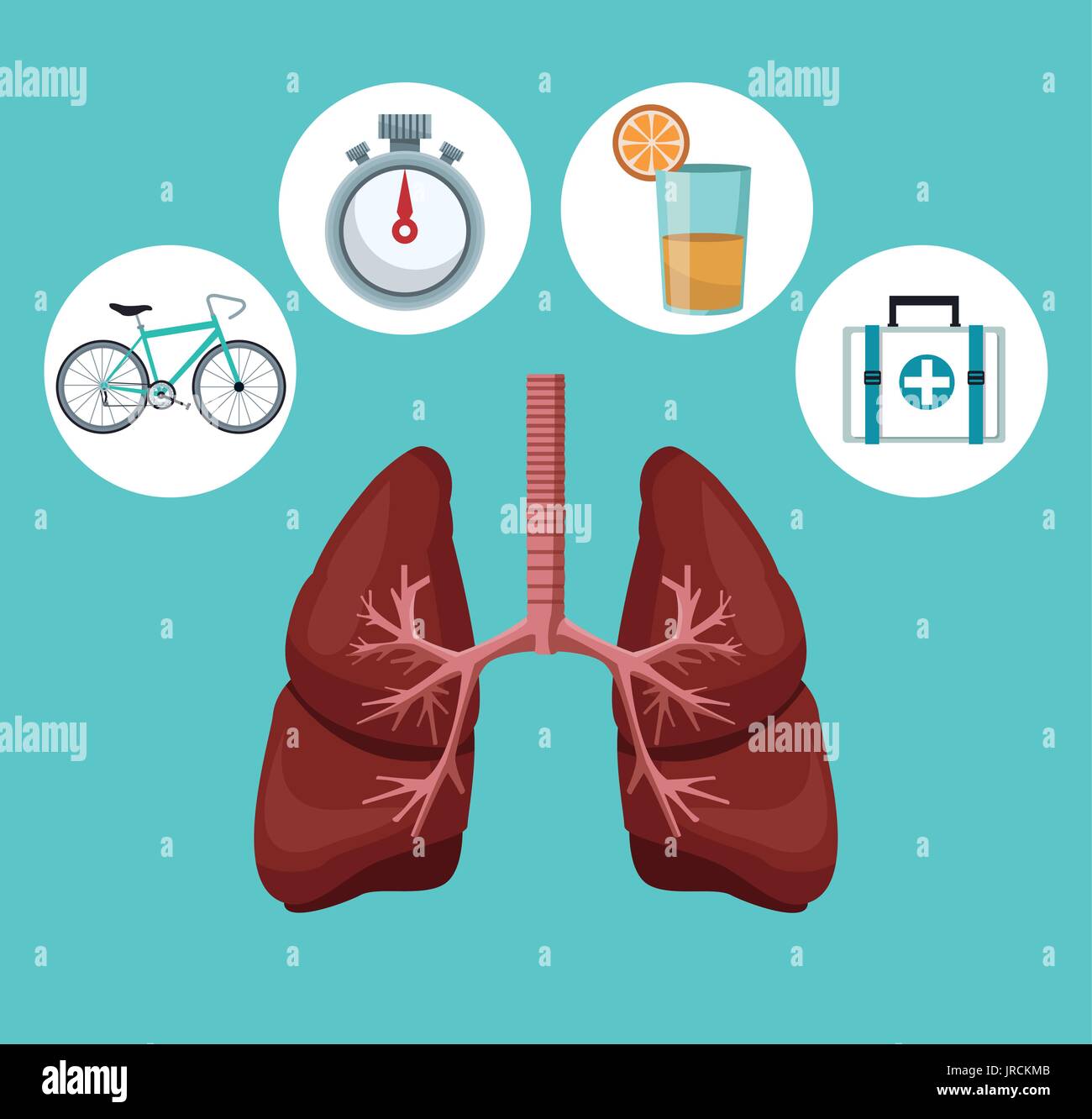 Respiratory System Diagram High Resolution Stock Photography and Images ...