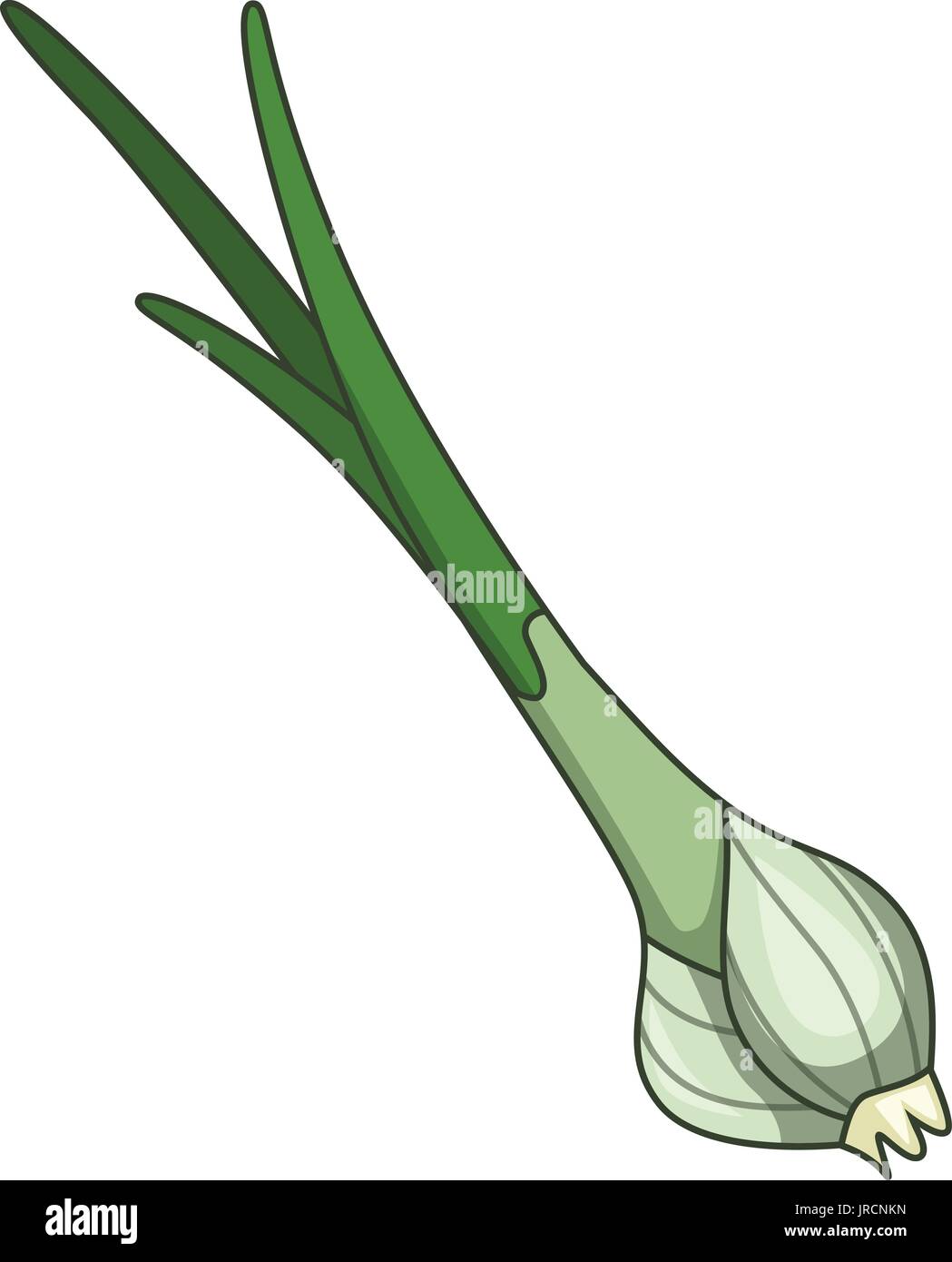 Onion icon, cartoon style Stock Vector Image & Art - Alamy