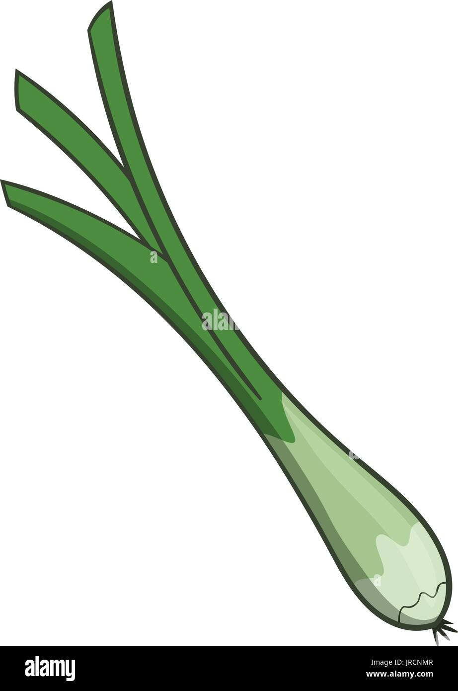 Green onion icon, cartoon style Stock Vector Image & Art - Alamy