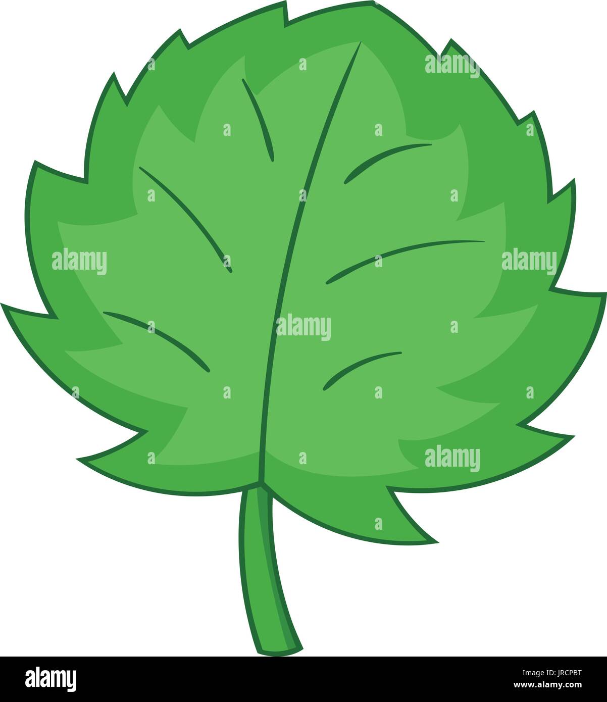 Grape wine leaf icon, cartoon style Stock Vector Image & Art - Alamy