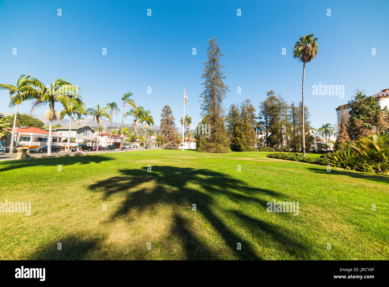 plants and trees in Santa Barbara, California Stock Photo - Alamy
