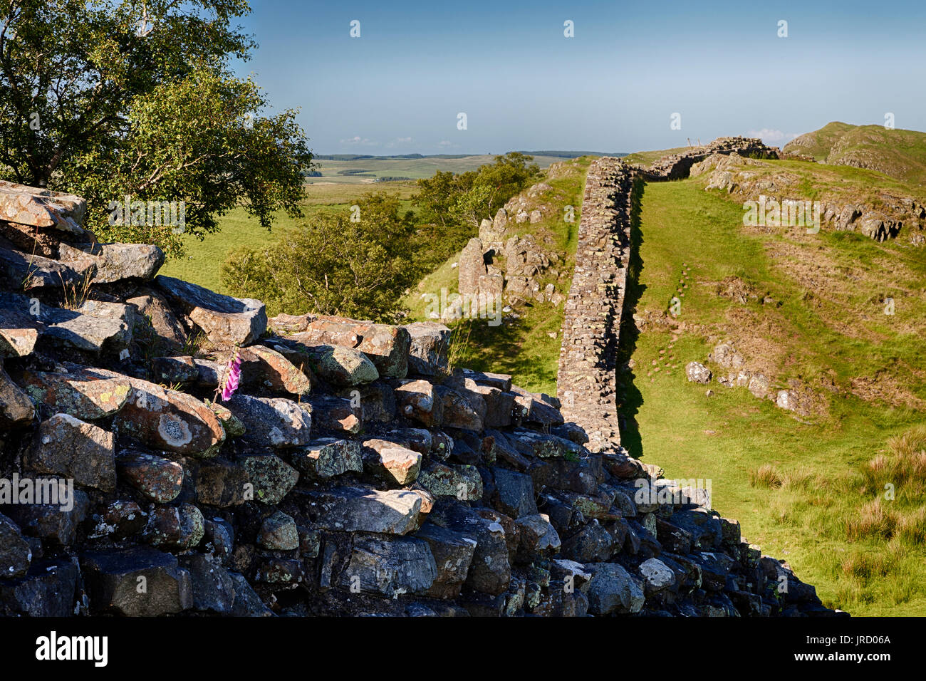 Hadrians wall people cumbria hi-res stock photography and images - Alamy