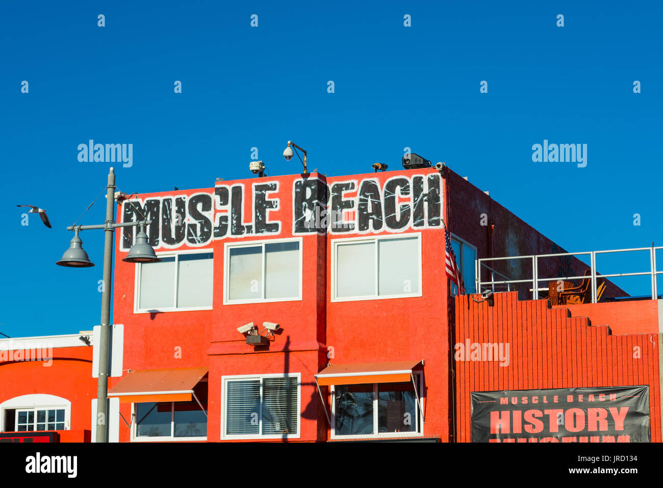 Bodybuilding muscle beach venice beach hi-res stock photography and ...