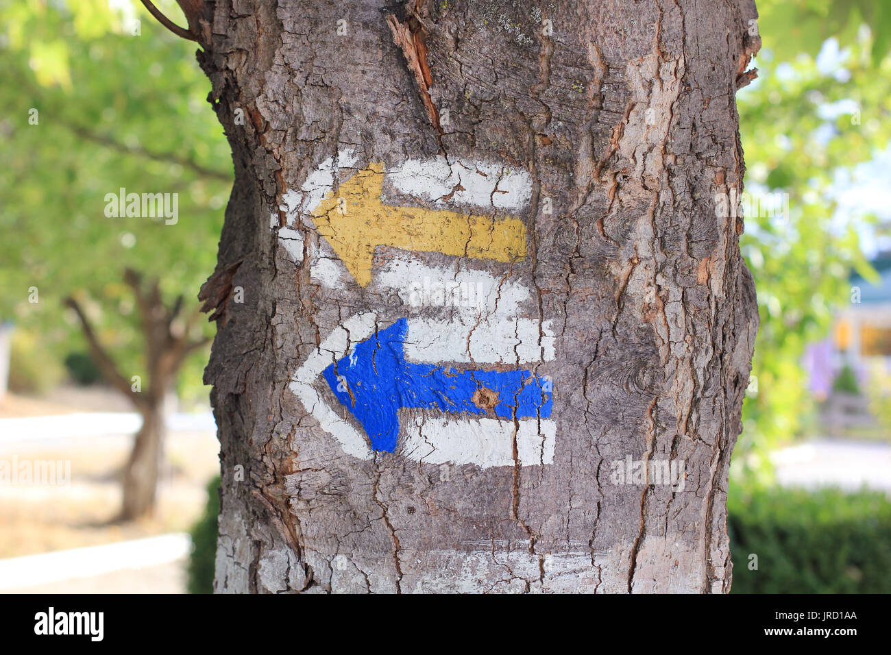 Two arrows direction symbol design hi-res stock photography and images ...