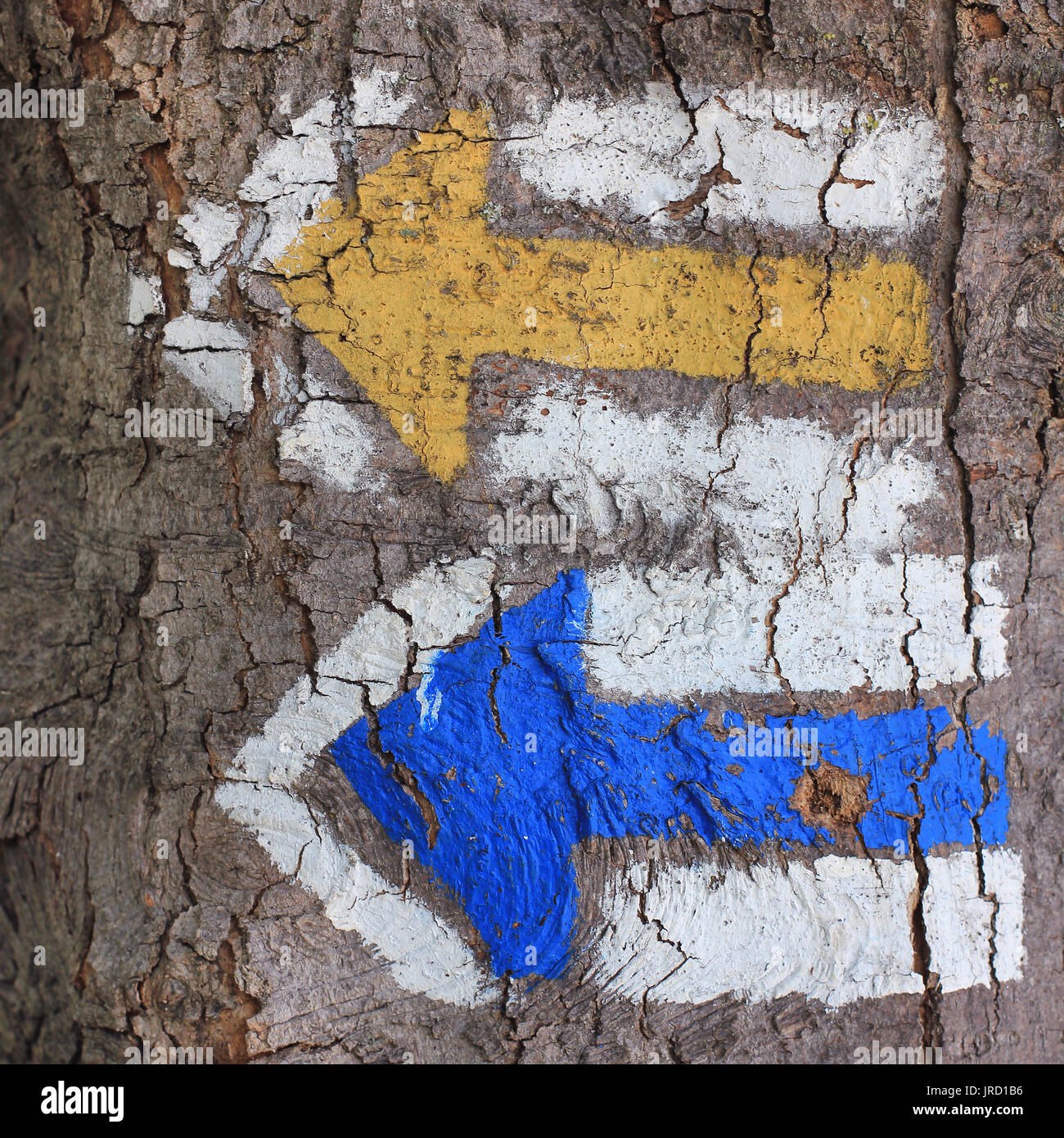 two arrows painted on tree Stock Photo - Alamy