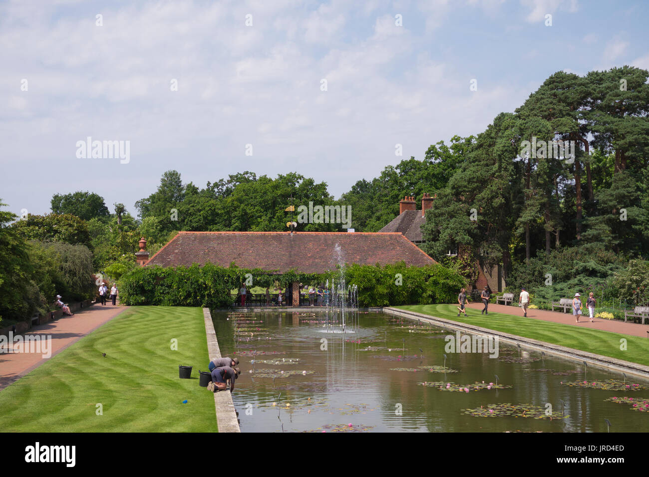 Gardeners in the grounds of RHS Garden Wisley in Woking Surrey UK Stock ...