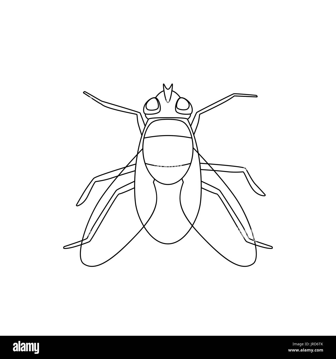 House fly macro black and white Stock Vector Images - Alamy
