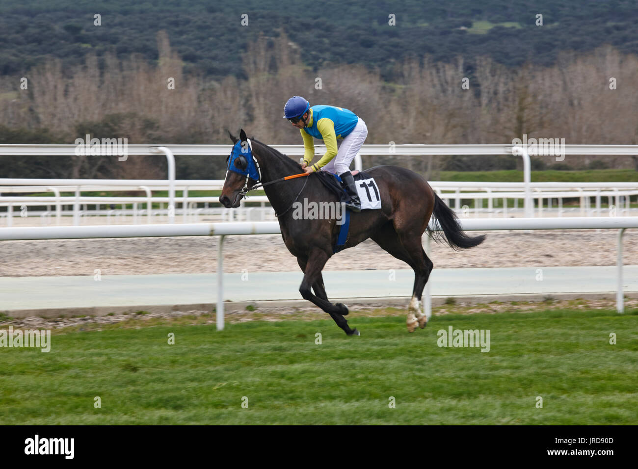Horse race training. Competition sport. Hippodrome. Speed background ...