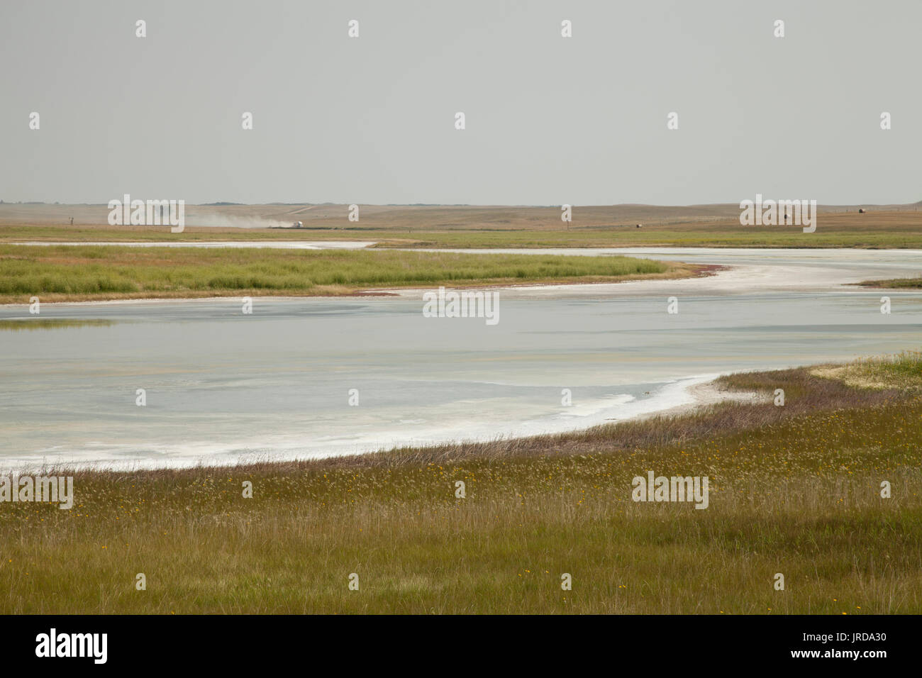 Fields of natural salt deposits in the prairies of Chaplin ...