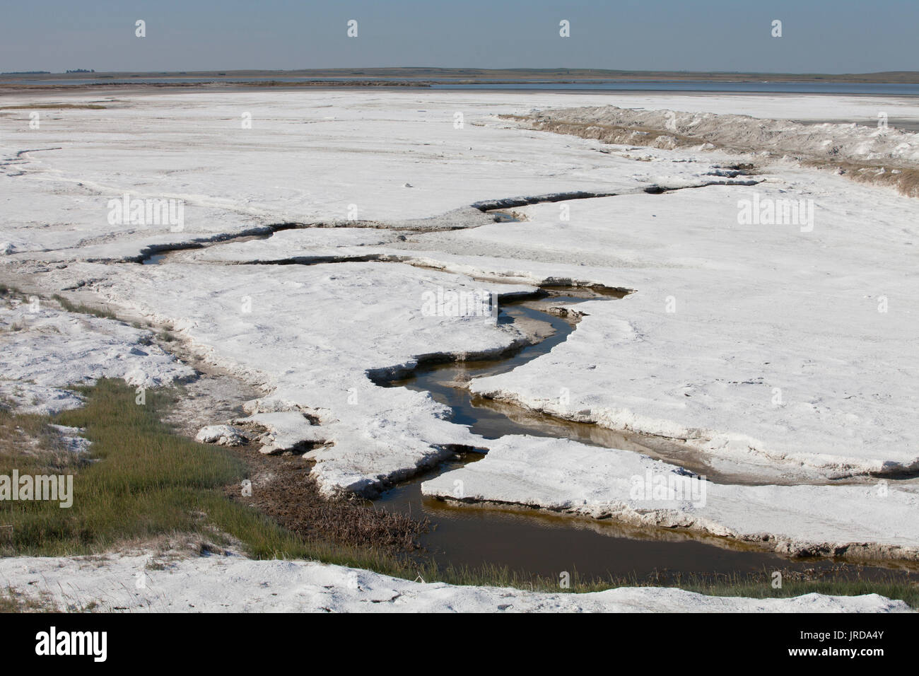 Fields of natural salt deposits in the prairies of Chaplin ...