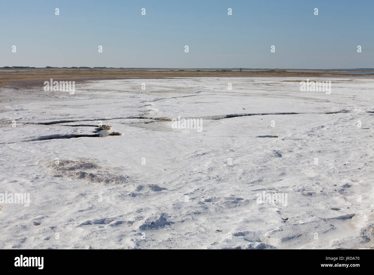 Fields of natural salt deposits in the prairies of Chaplin ...