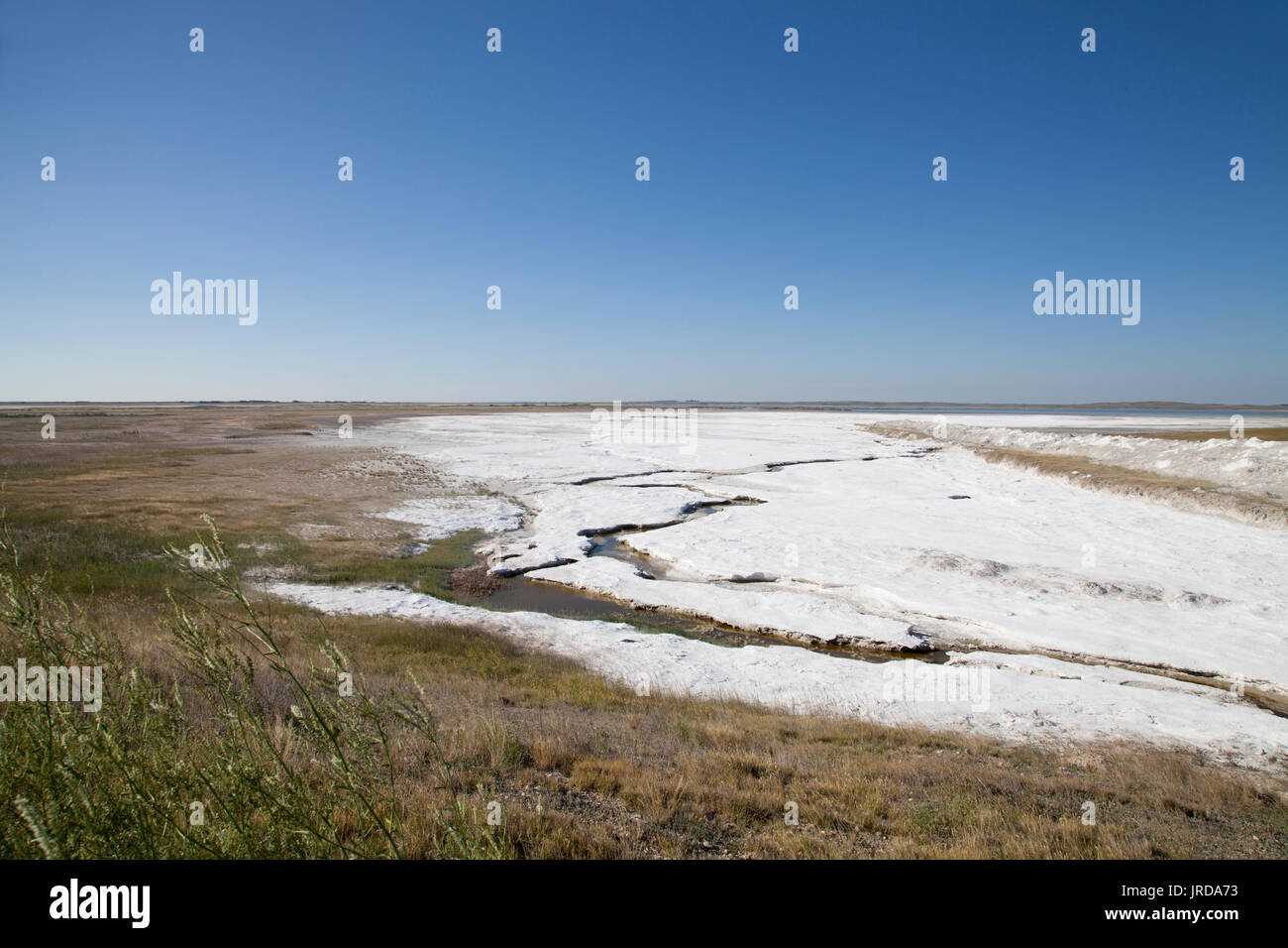 Fields of natural salt deposits in the prairies of Chaplin ...