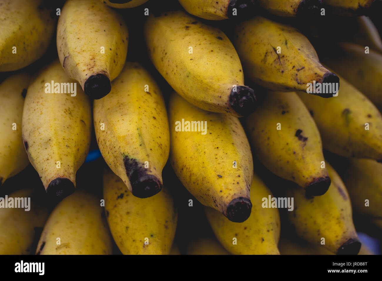 Mini banabnas hi-res stock photography and images - Alamy