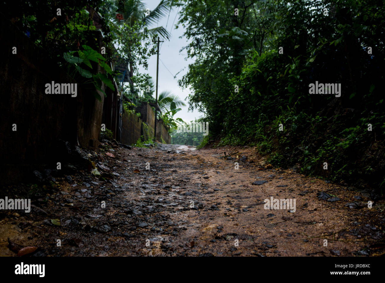 Unmarked trail hi-res stock photography and images - Alamy