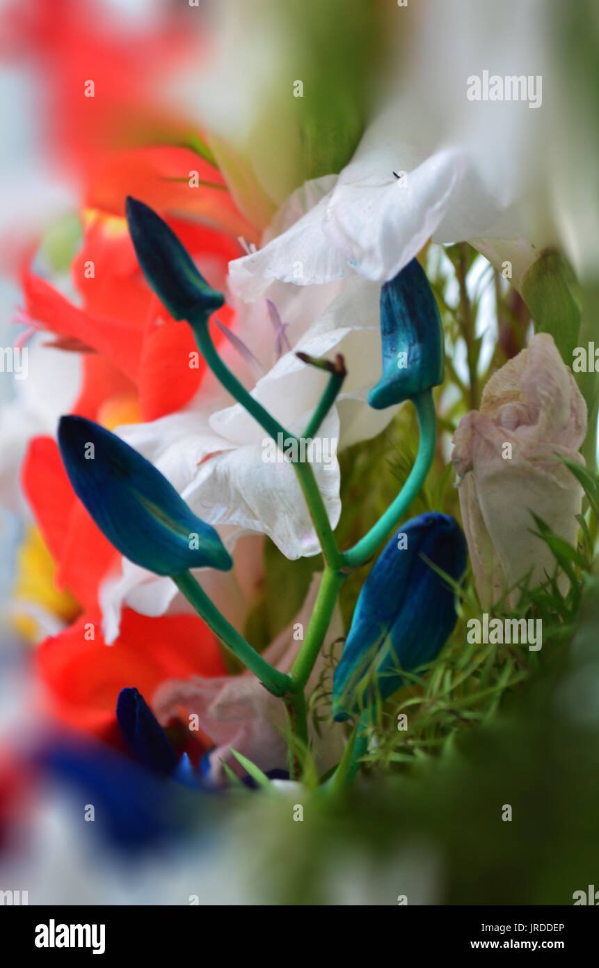 Creative arrangement of flowers hi-res stock photography and images - Alamy