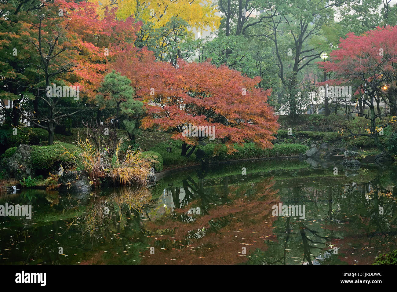 Kamakura japan november asia hi-res stock photography and images - Alamy