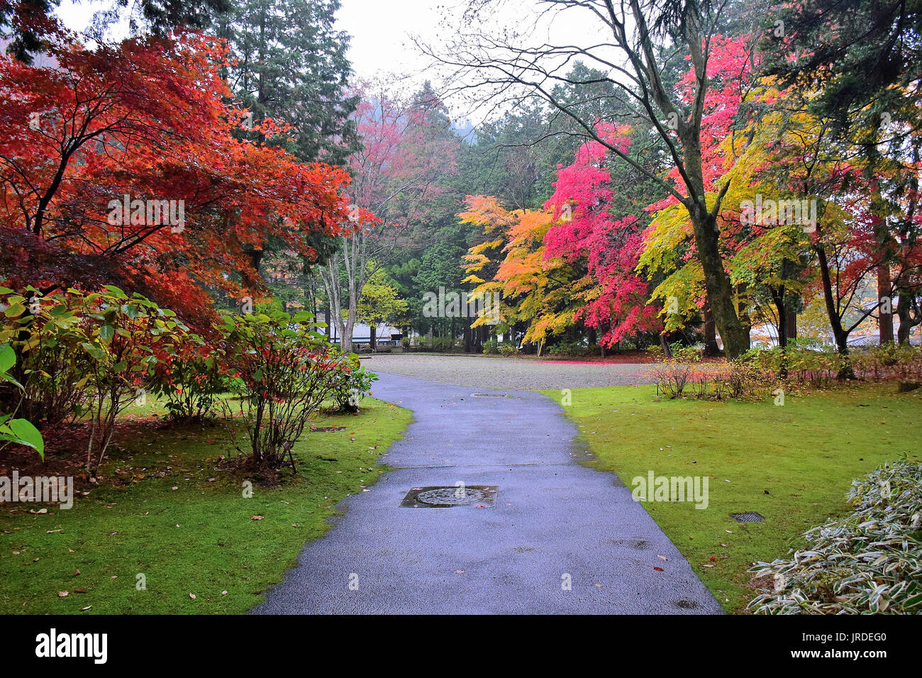 Kamakura japan november asia hi-res stock photography and images - Alamy