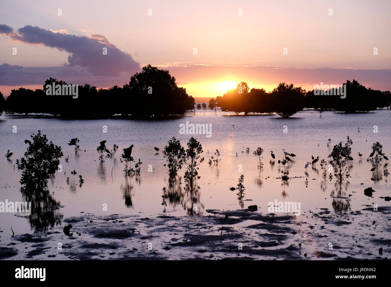 Sunset over the Indian ocean in Ibo island one of the islands in ...