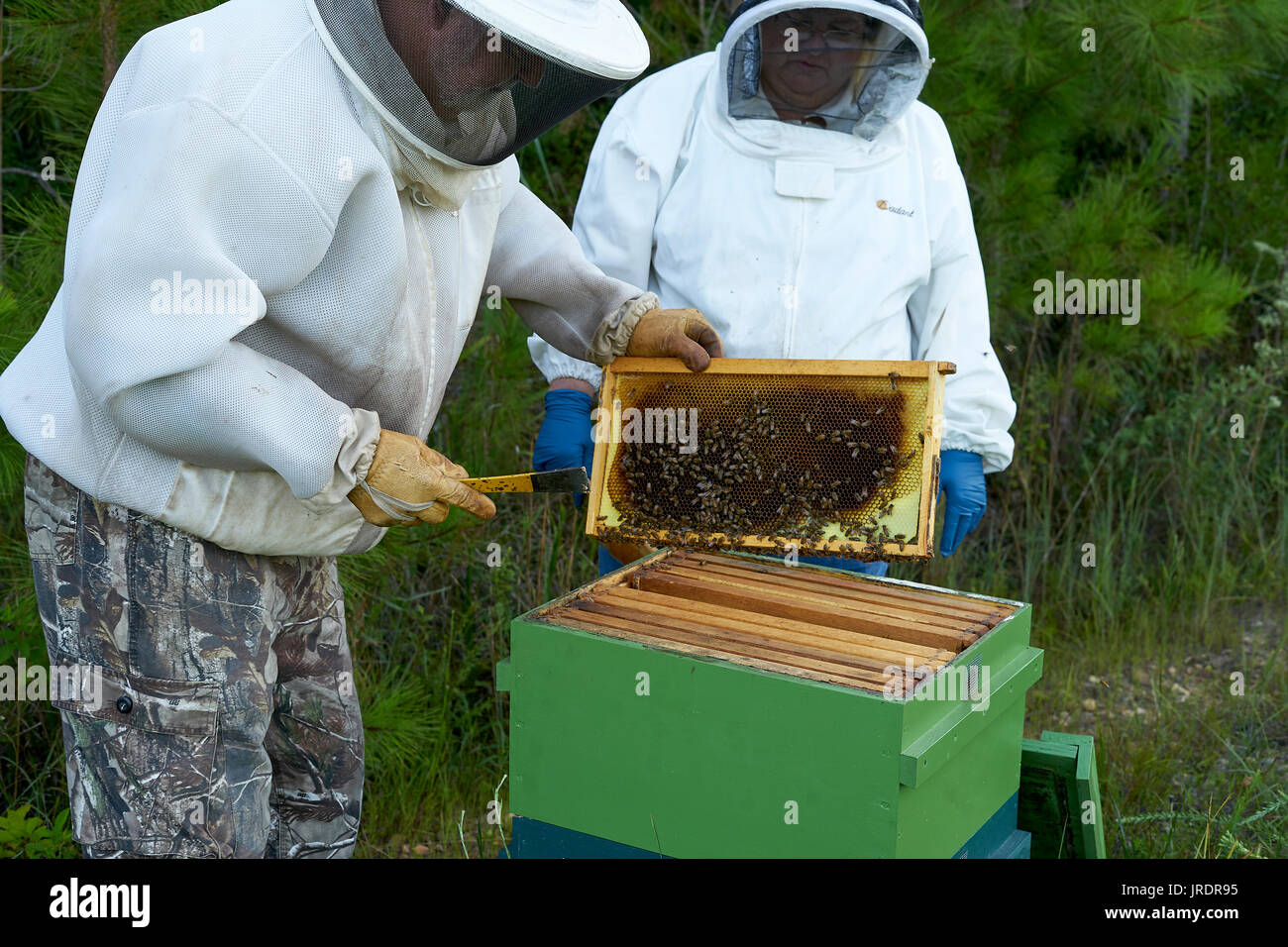 Jim and Patti Butler, left to right, inspect the racks of honeycomb in ...