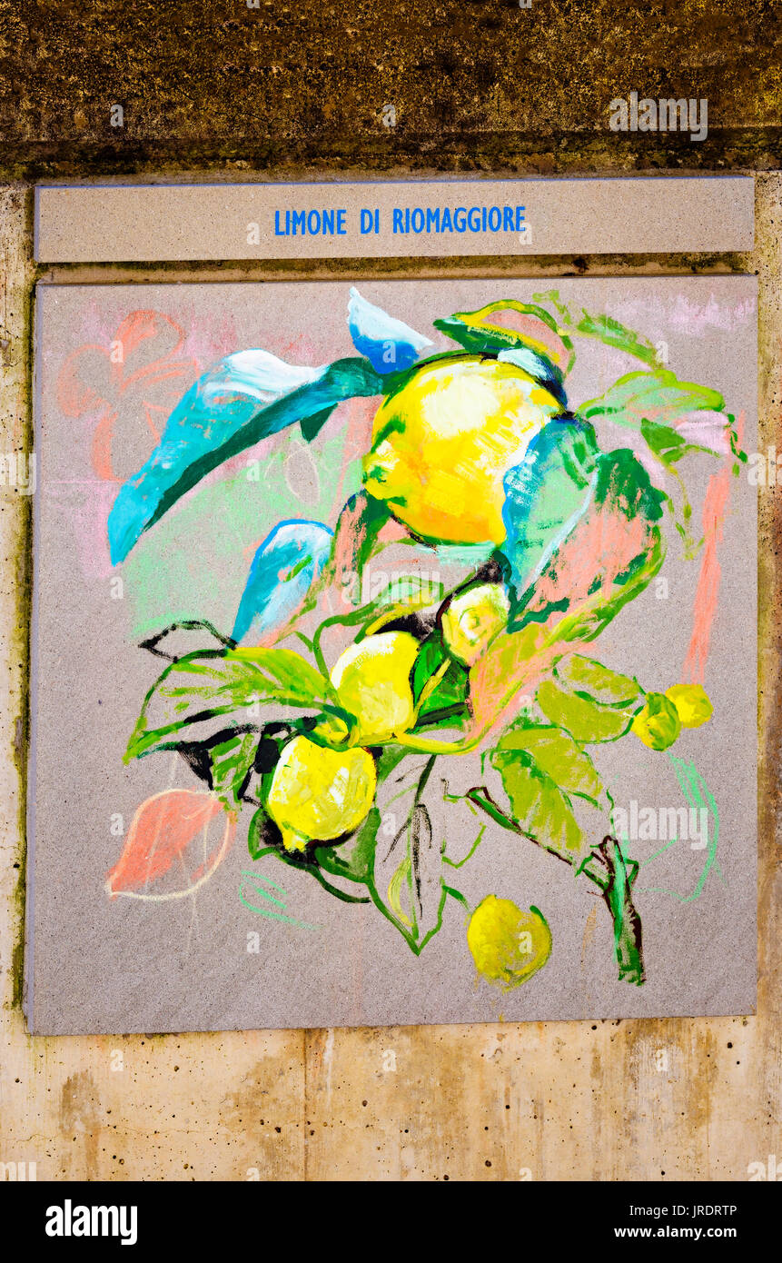 Painting of local lemons, Riomaggiore, Cinque Terre, Liguria, Italy ...