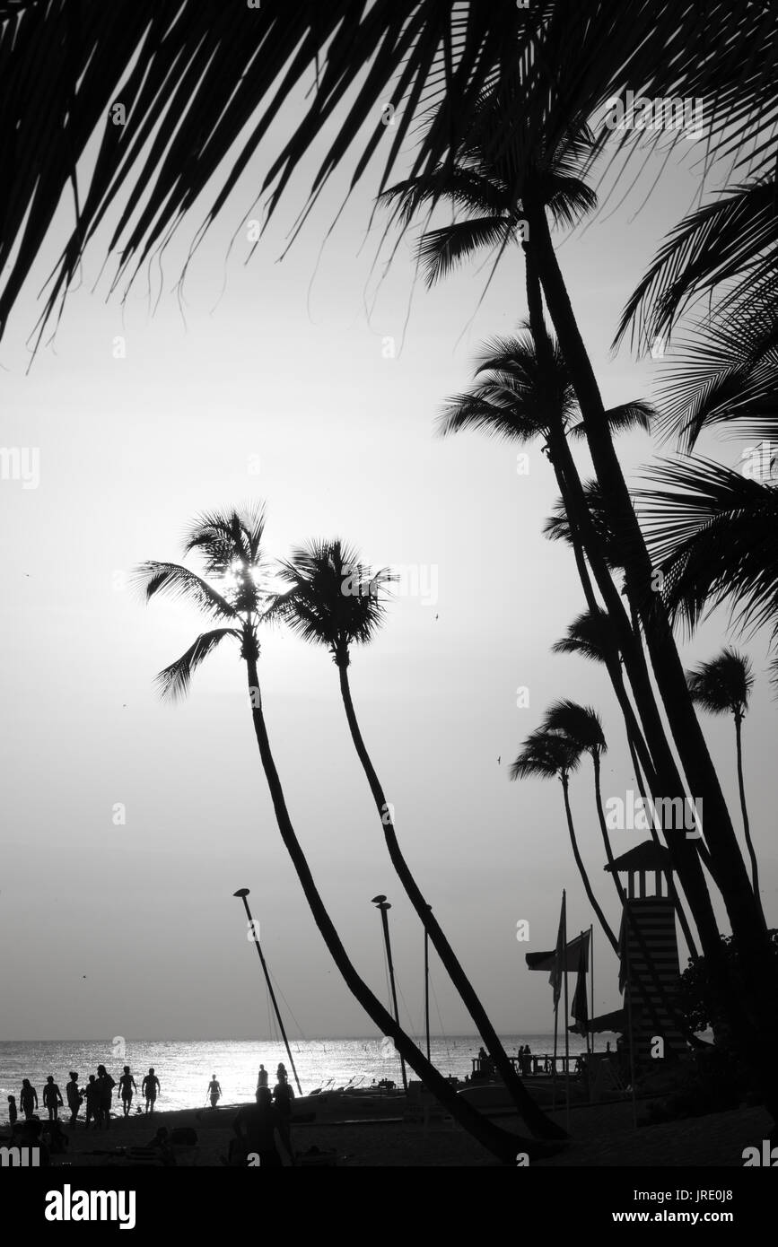 Two palm trees silhouette on sunset tropical beach Stock Photo - Alamy