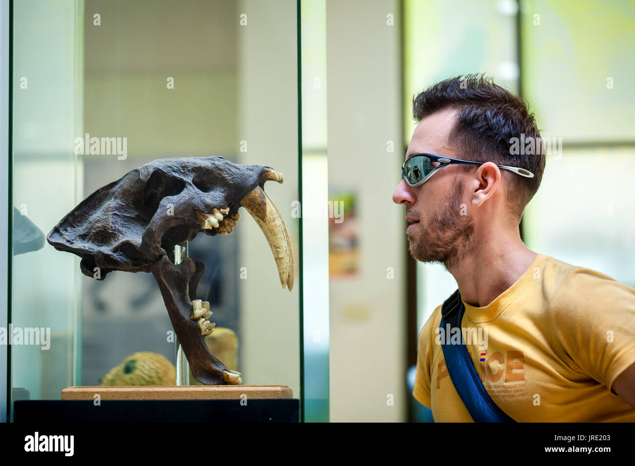 Sabertooth Facial Hair