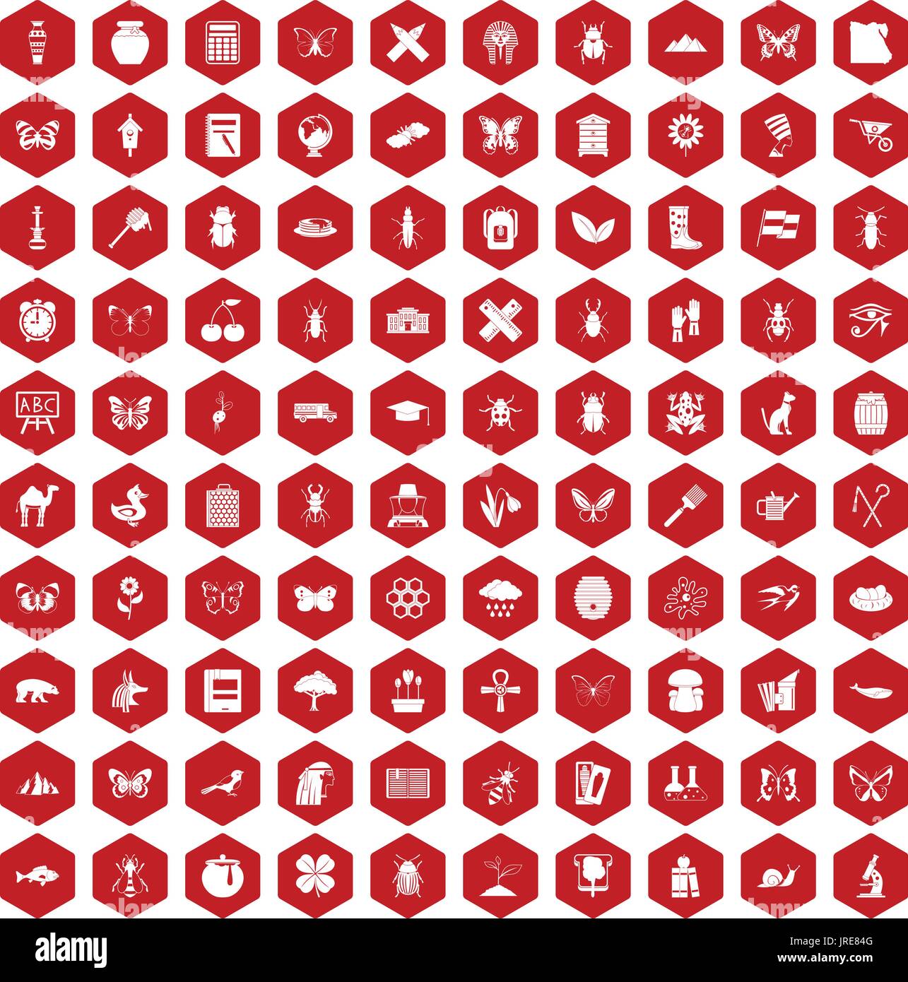 Microscope Insects Stock Vector Images - Alamy