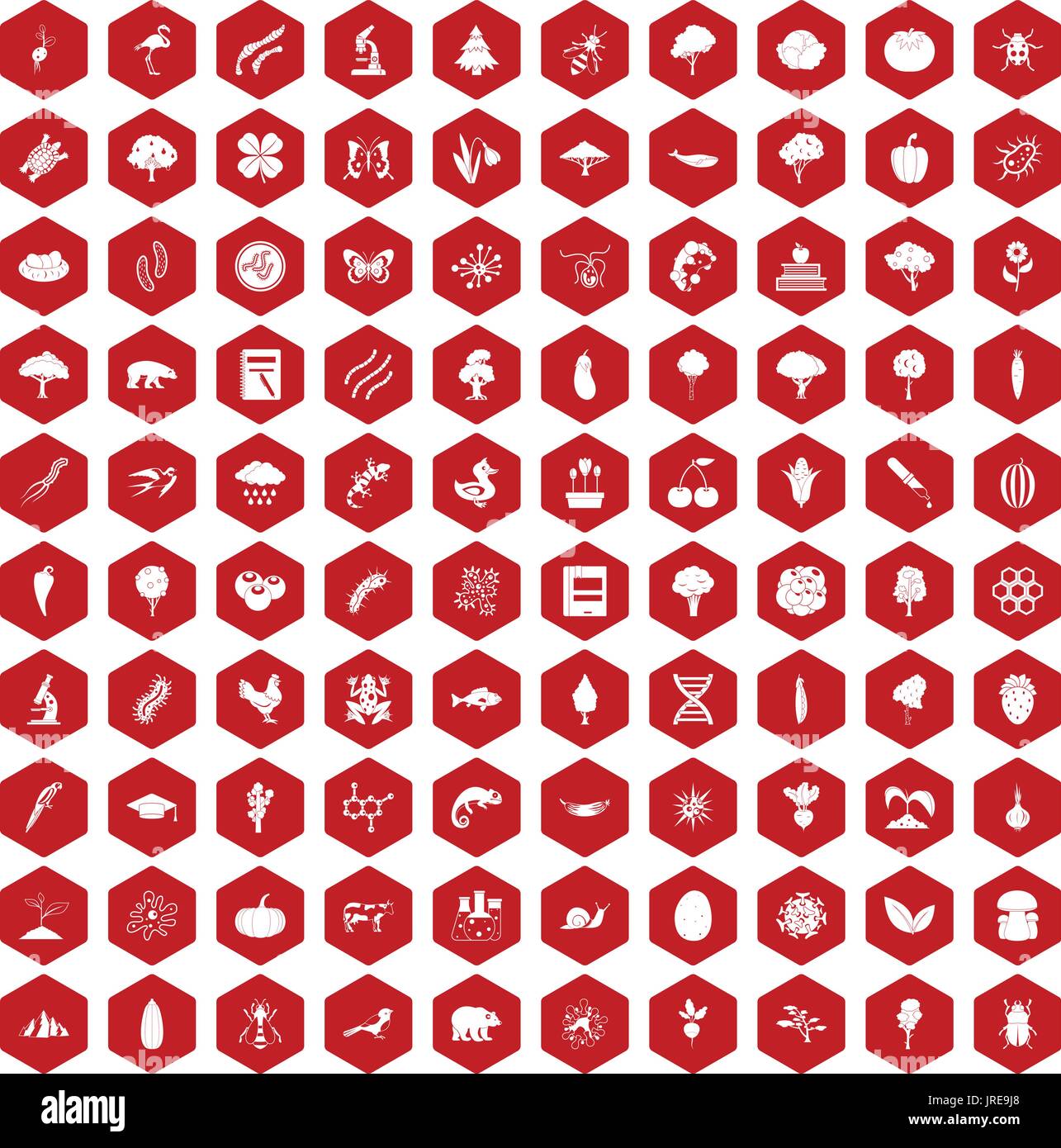 Red strawberry tree fruits Stock Vector Images - Alamy