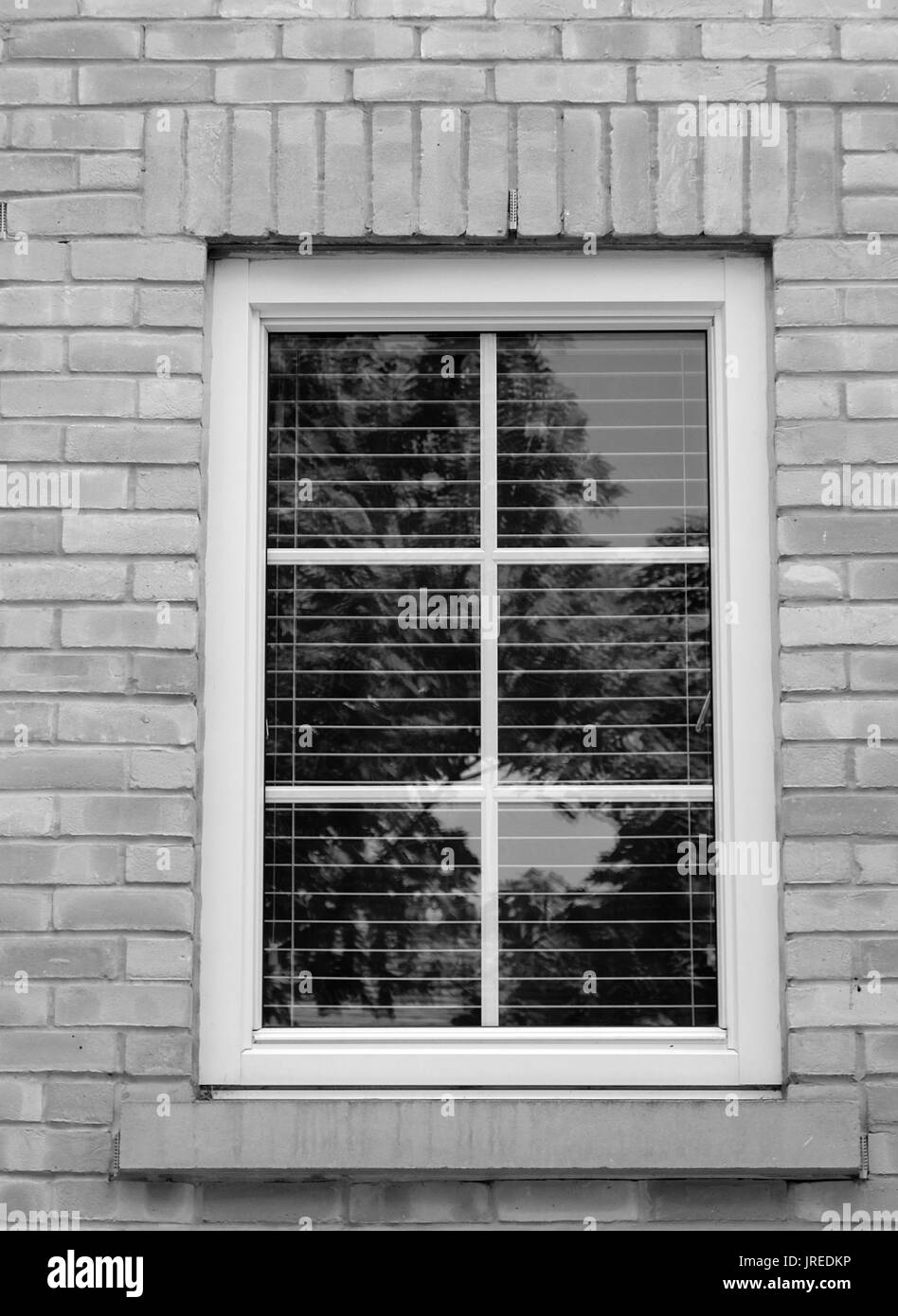 Windows cill Black and White Stock Photos & Images - Alamy
