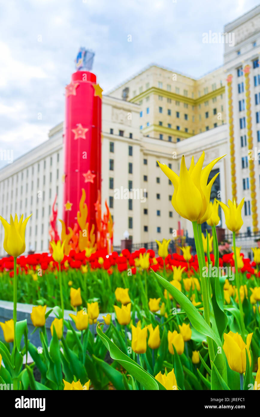 Russia national flower hi-res stock photography and images - Alamy