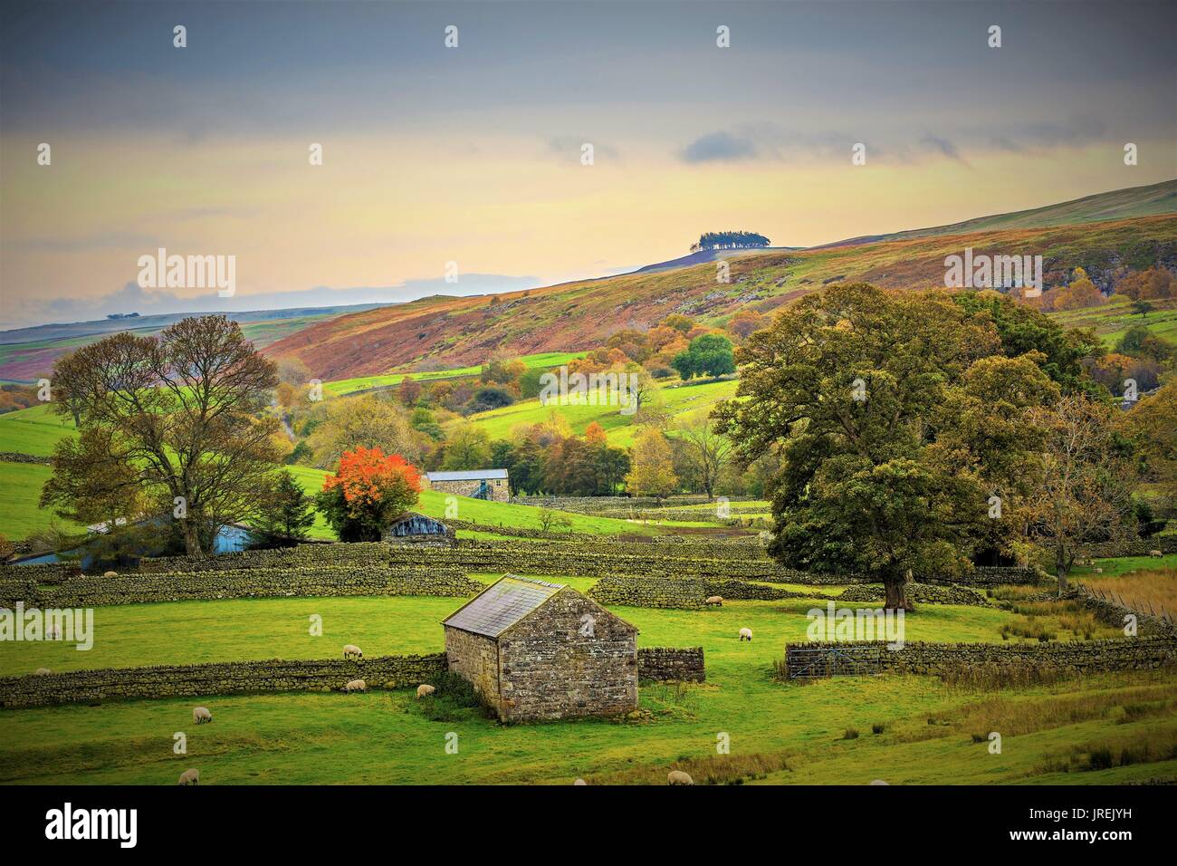 Holwick hi-res stock photography and images - Alamy