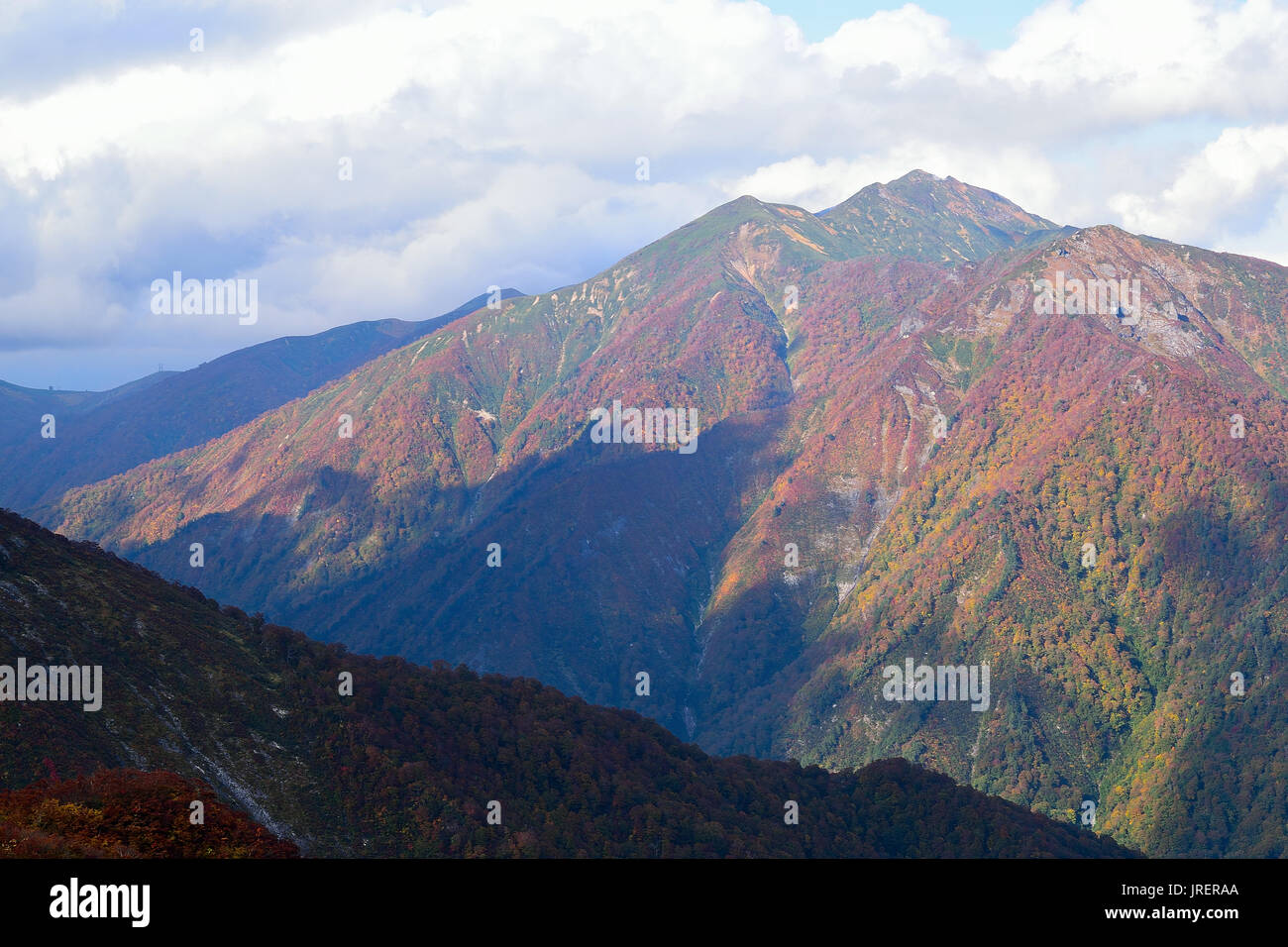 Autumn Landscape of vibrant colorful trees with mountain ranges in ...