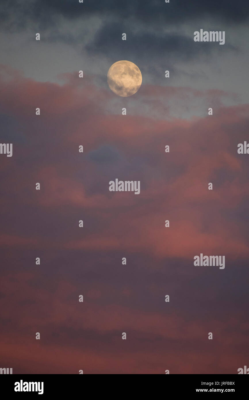 Night sky in vinyard hi-res stock photography and images - Alamy