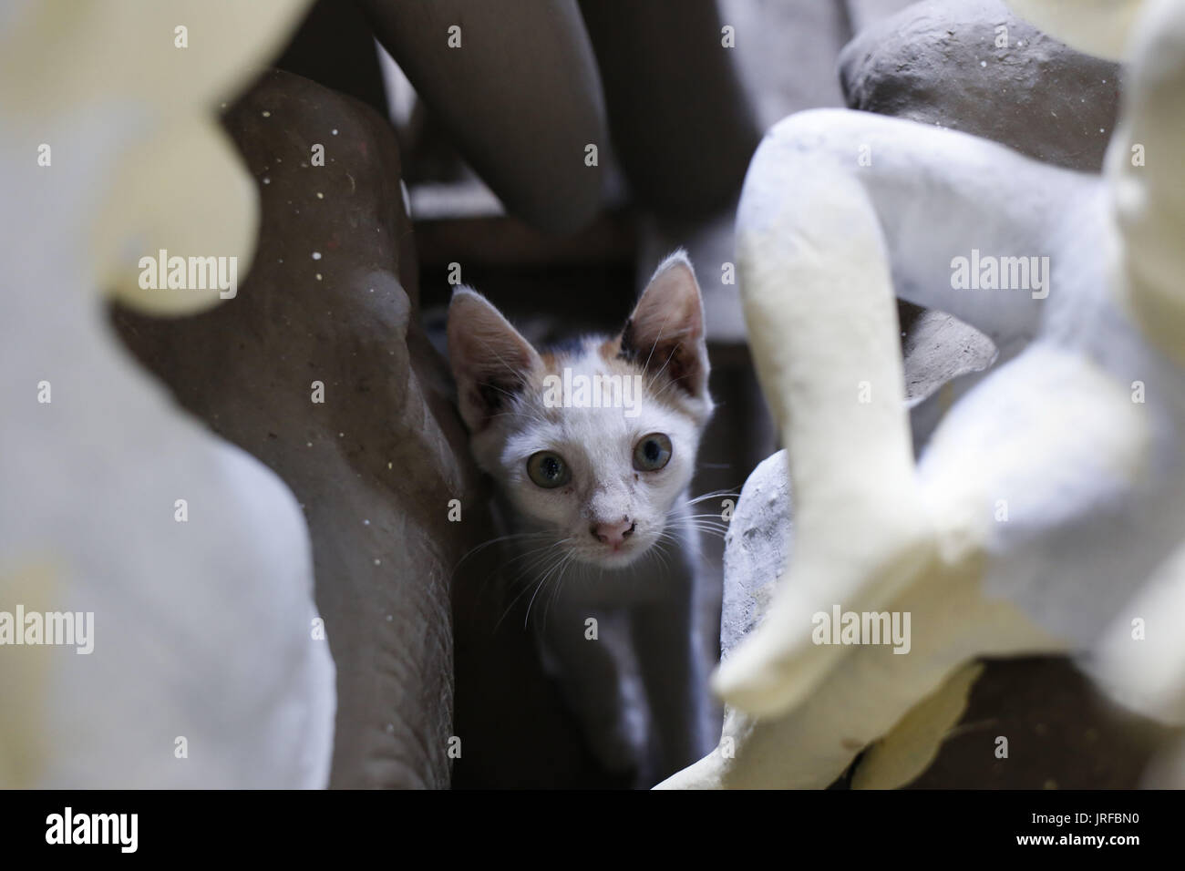 Dhaka temple hi-res stock photography and images - Alamy