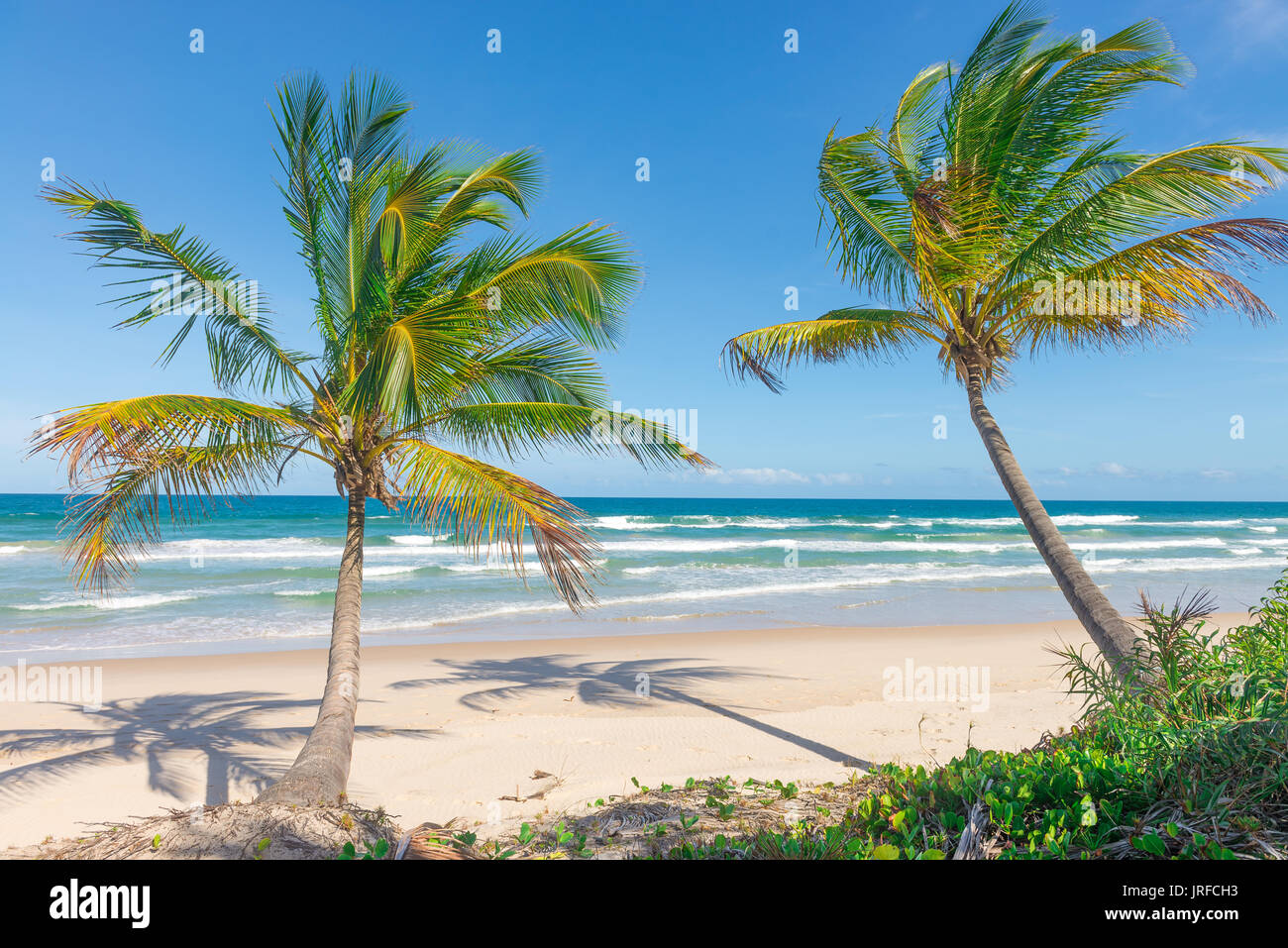 Amazing view of the beaches near Itacare at the Bahia state in Brazil ...