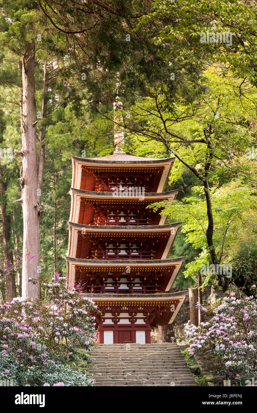 Rhododendrons below the five-storied pagoda at Murou-ji Temple, Nara ...