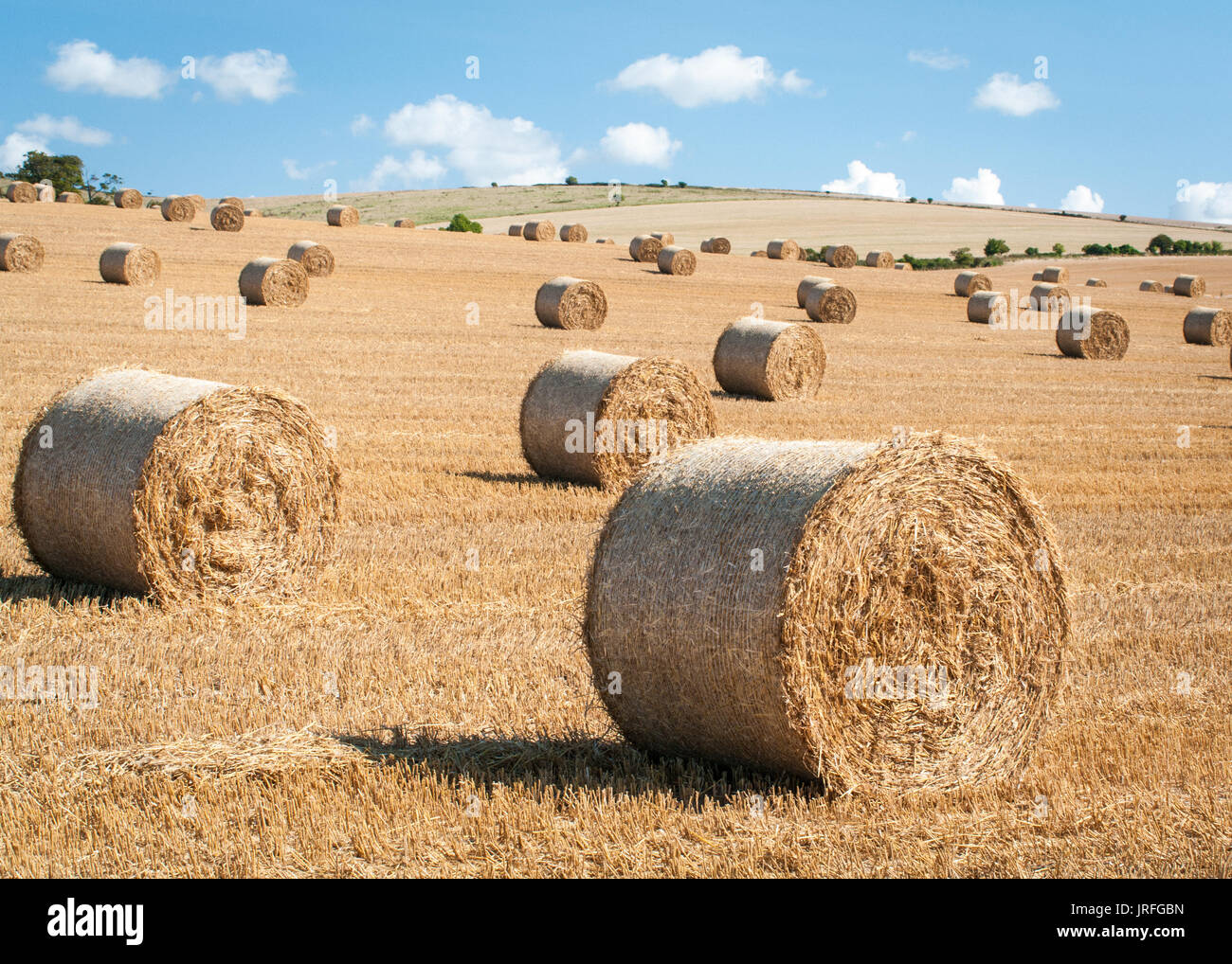 Straw bales on field Stock Photo - Alamy