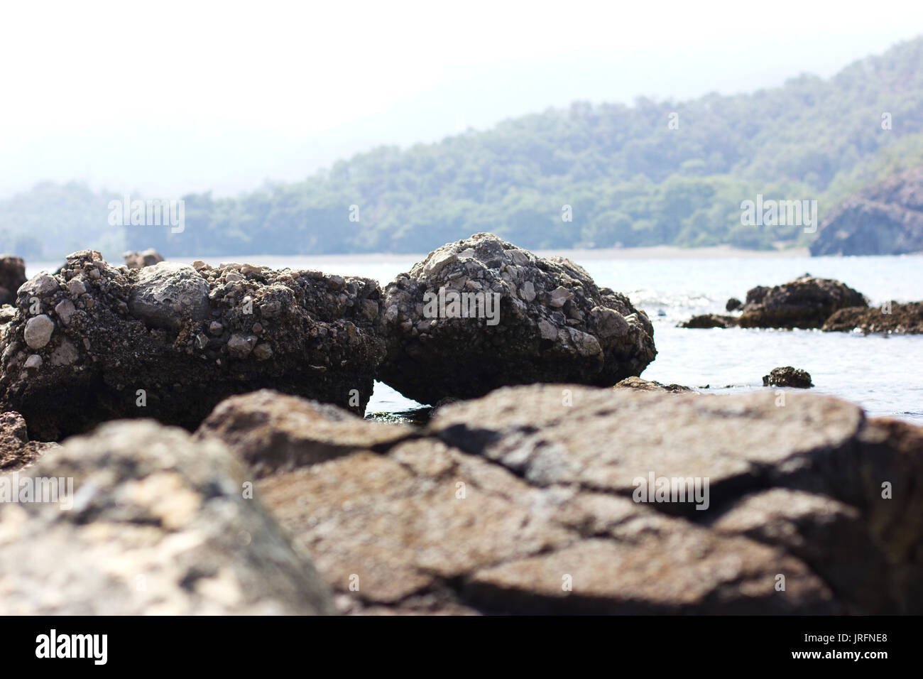 Stones on the beach at the sea under water Stock Photo - Alamy