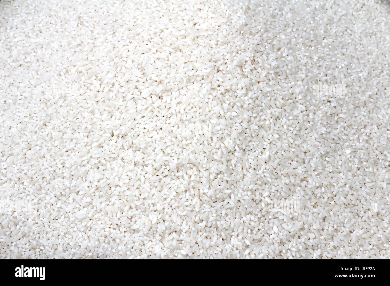 Paddy in vietnam Stock Photo - Alamy