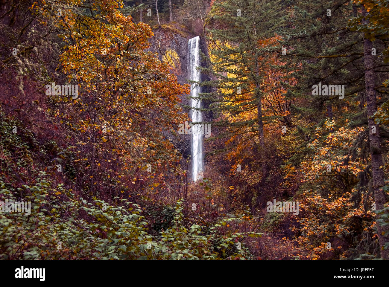 A waterfall falls in a forest of autumnal fall foliage Stock Photo - Alamy