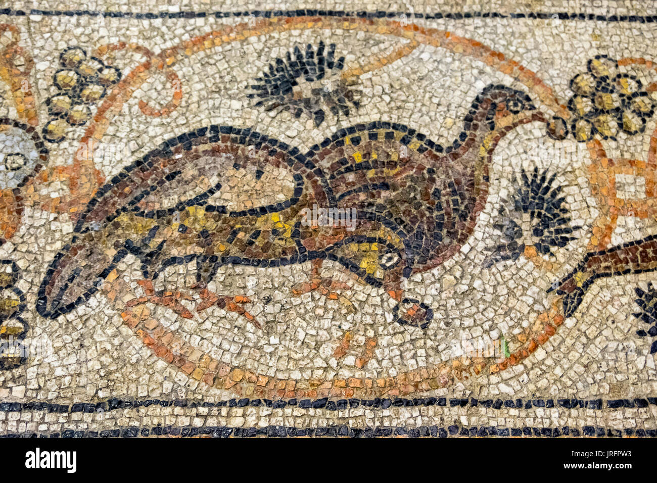 Ancient Mosaic Animals Stock Photos & Ancient Mosaic Animals Stock ...