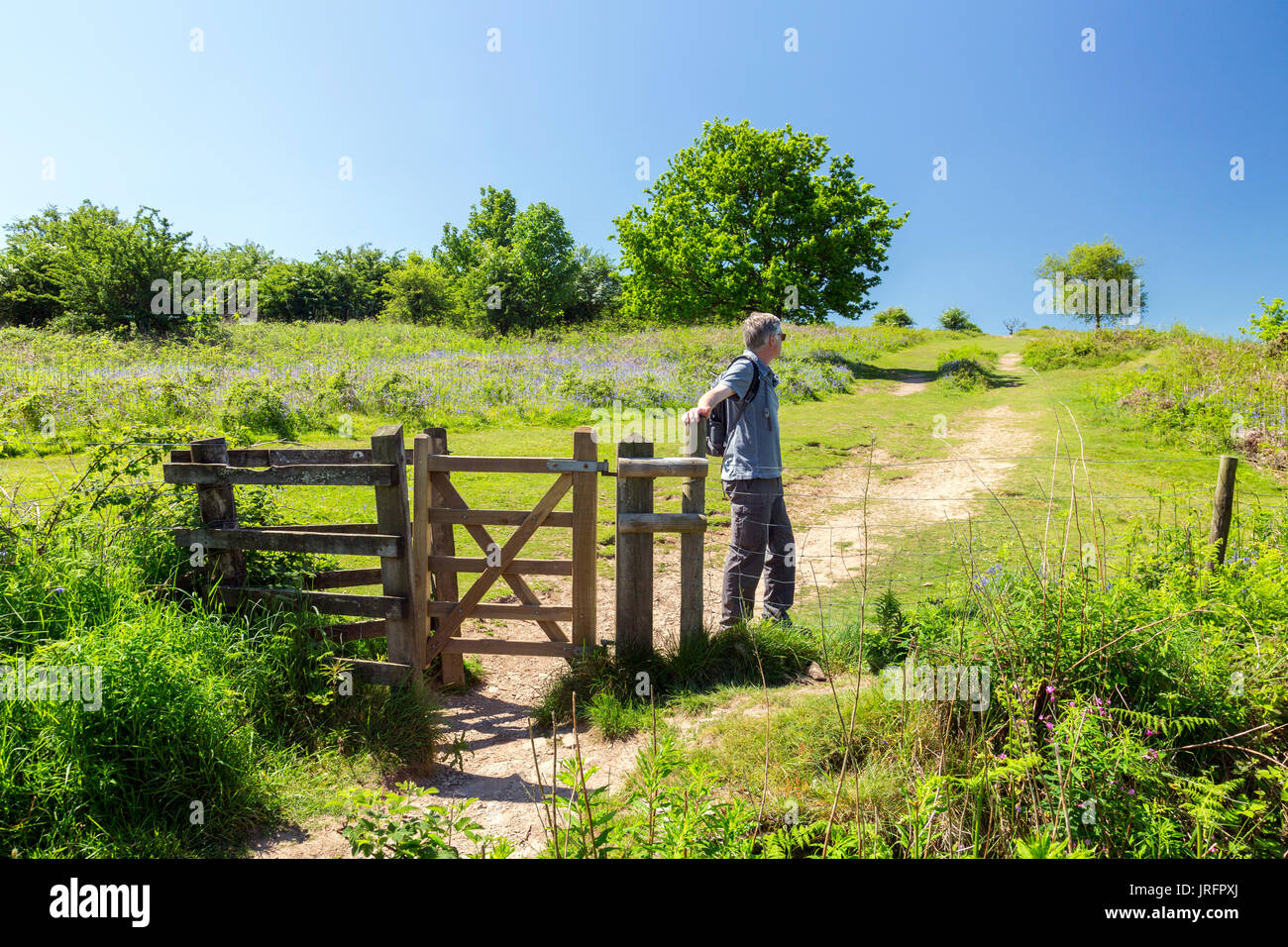 Walker at gate hi-res stock photography and images - Alamy